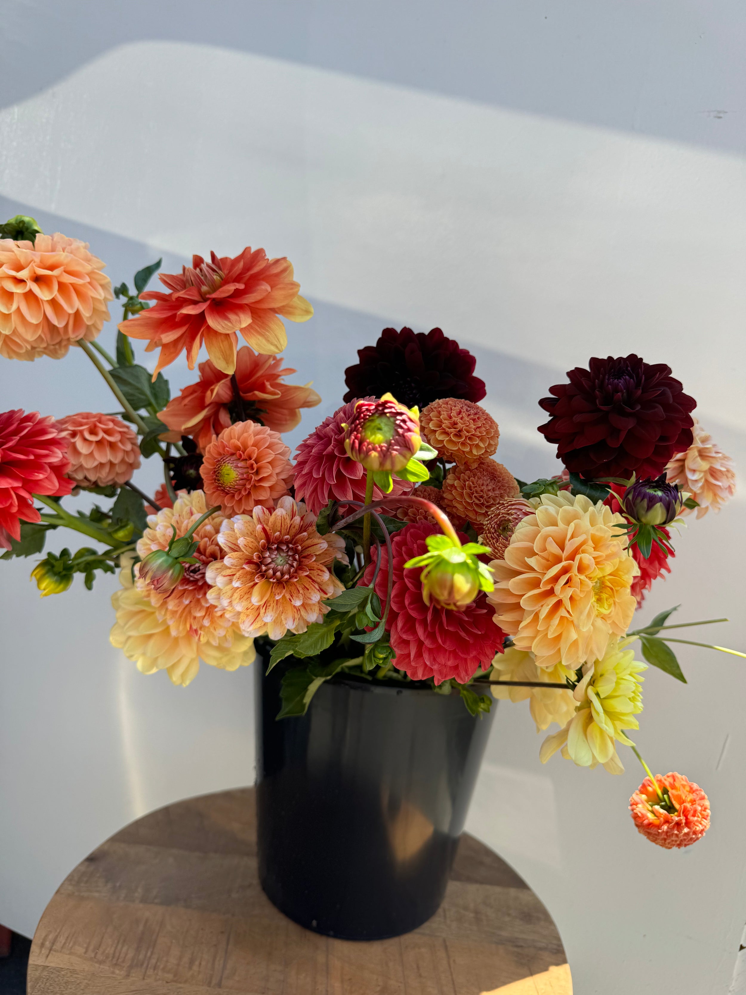 West Seattle Flower Farm