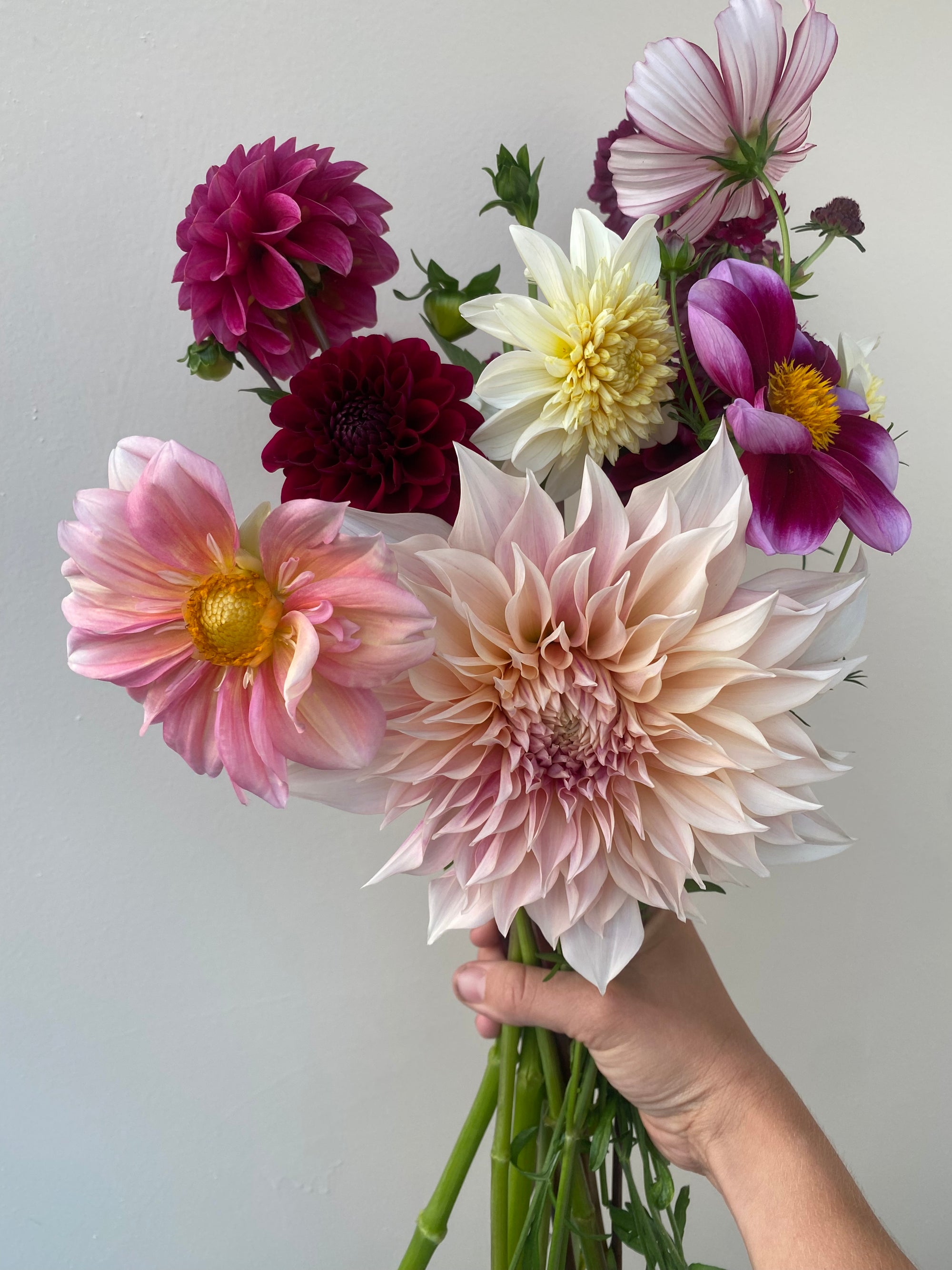 West Seattle Flower Farm